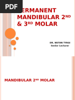 Maxillary Third Molar Morphology | PDF | Dental Anatomy | Dentistry