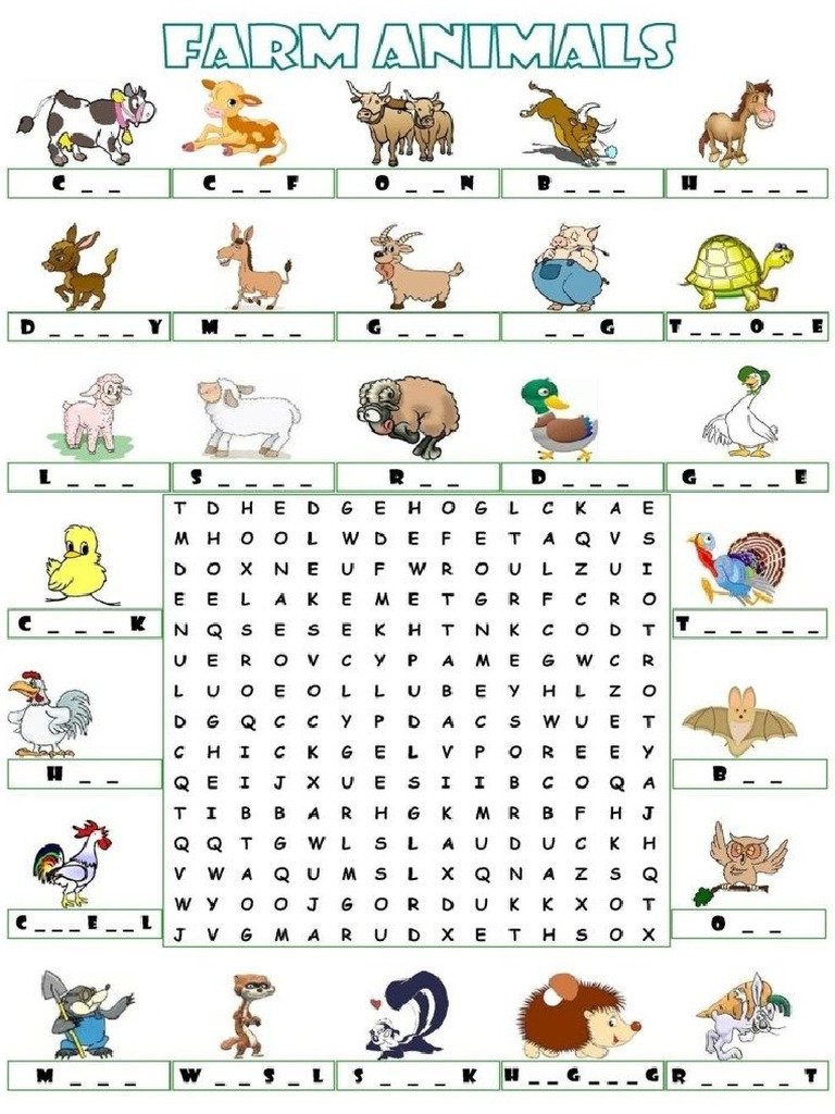 Homework - 3rd Grade - 1209 | PDF