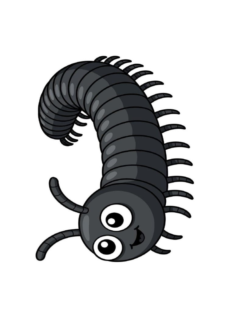 Bichos Flashcards | PDF