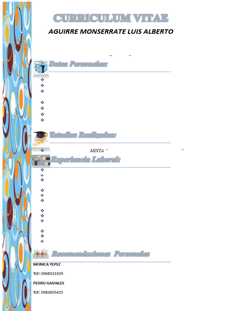 Curriculum Luis | PDF