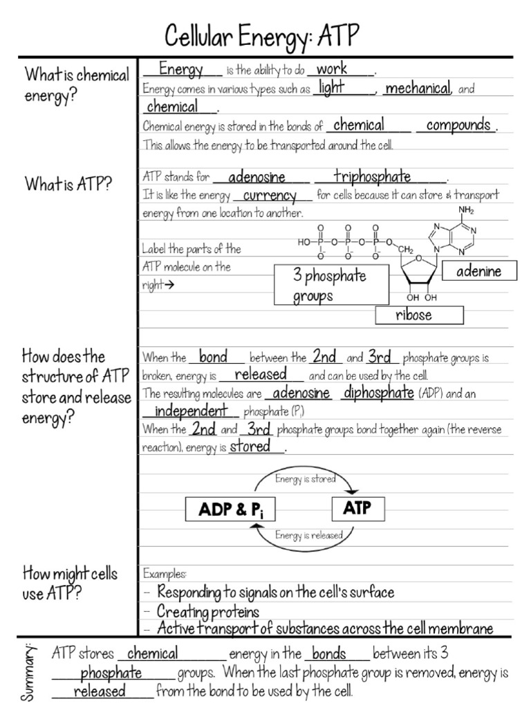 Cornell Notes Keys | PDF