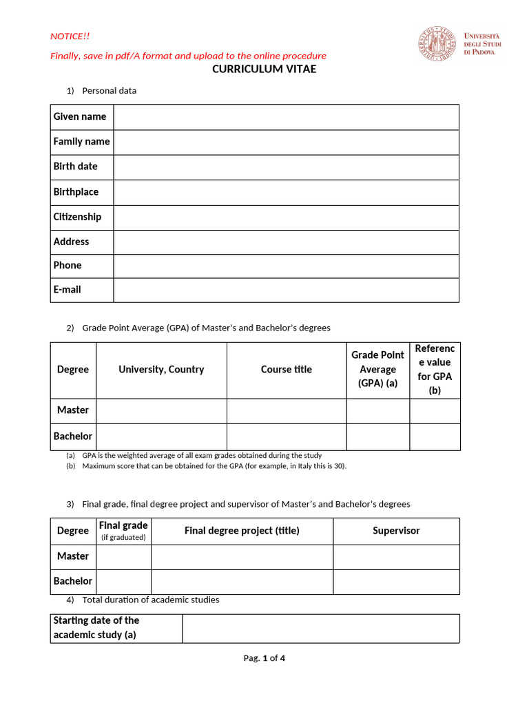 Curriculum Template 41st Cycle | PDF | Academic Degree | Master's Degree