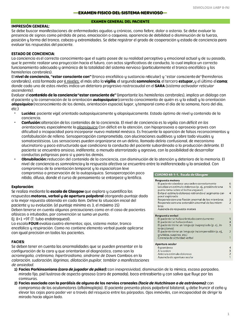 Neuro Ex Fisico | PDF