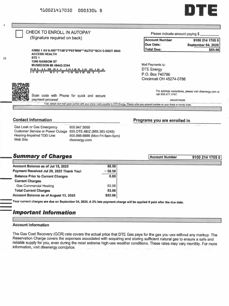 DTE Invoice | PDF