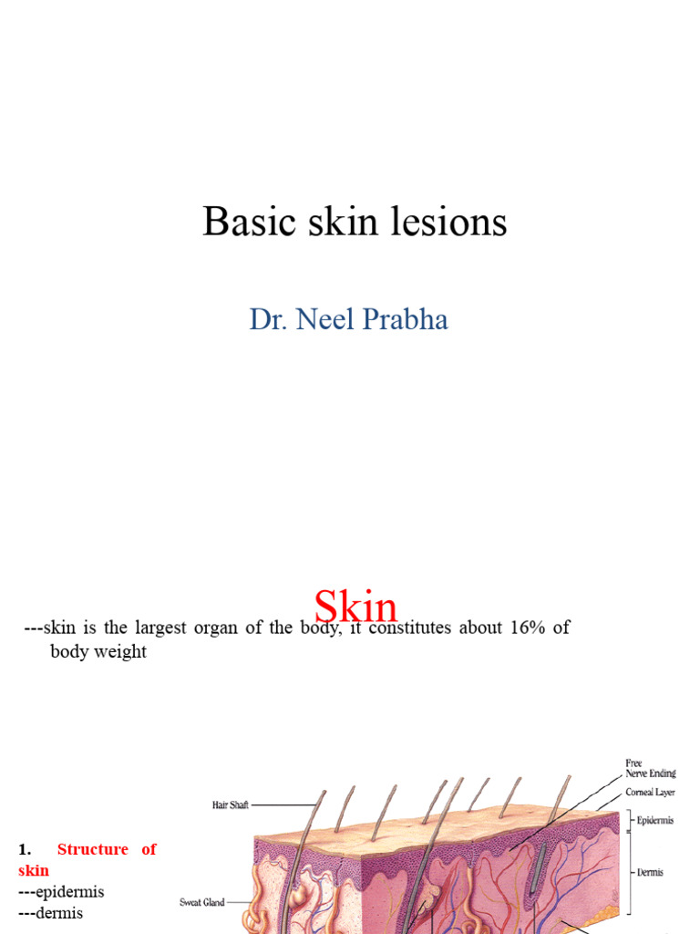 Overview of Skin Lesion Types | PDF | Skin | Medical Specialties