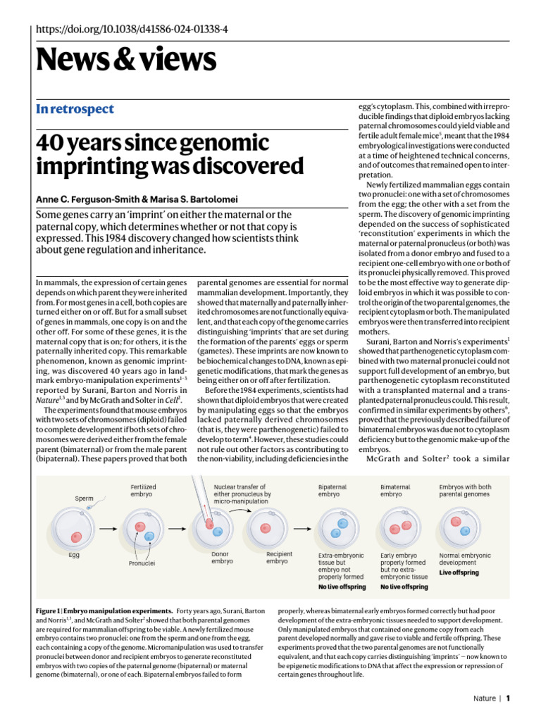40 Years Since Genomic Imprinting Was Discovered | PDF | Gene | Epigenetics