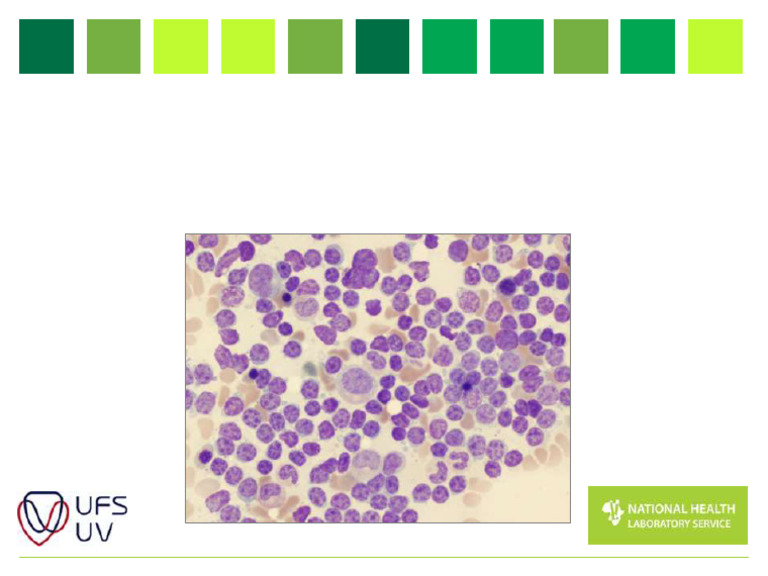 WBC Reactive & Malignant-39 | PDF