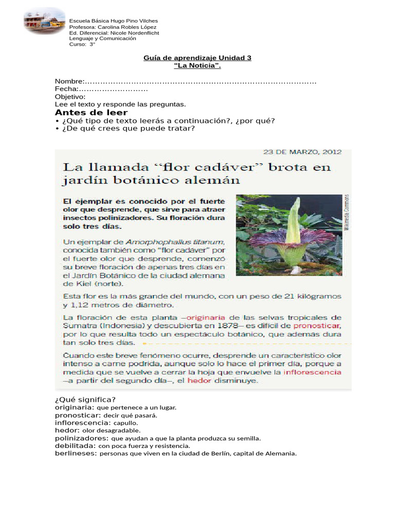 Guía de Aprendizaje Unidad 3 Julio 18 | PDF | Colmena | Miel