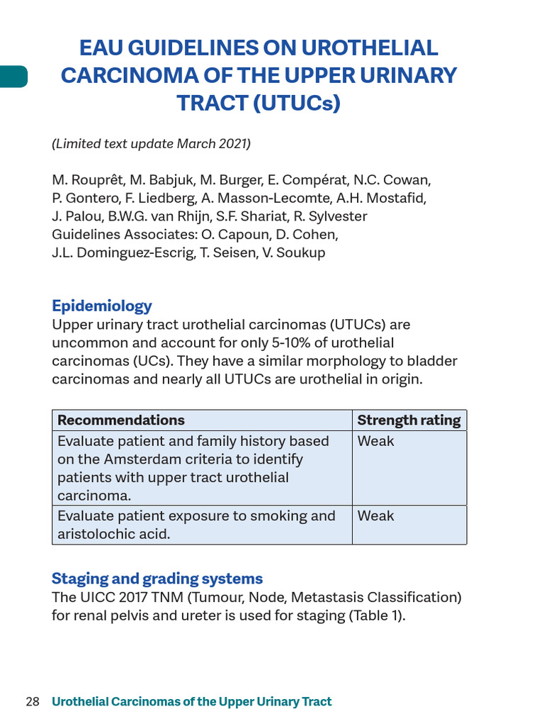 EAU Guidelines for Upper Urinary Tract Urothelial Carcinoma | PDF ...
