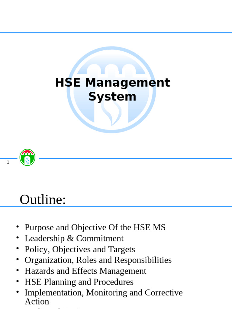 Oman LNG HSE Management System Overview | PDF | Audit | Board Of Directors