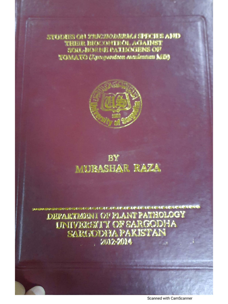 Mubashir Raza 2014 | PDF