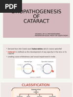 Nuclear Sclerosis Cataract Grading Guide | PDF