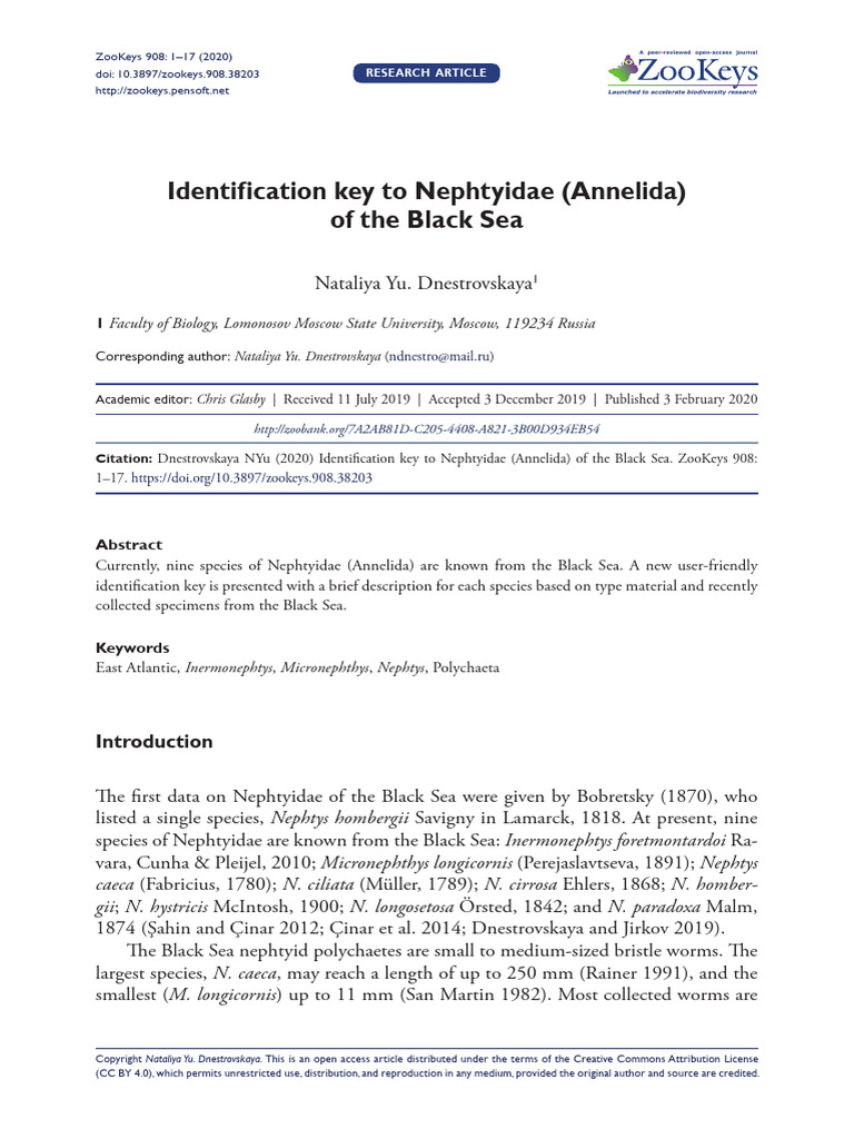 Yu 2020 Identification Key To Nephtyidae (Annelida) | PDF | Anatomical ...