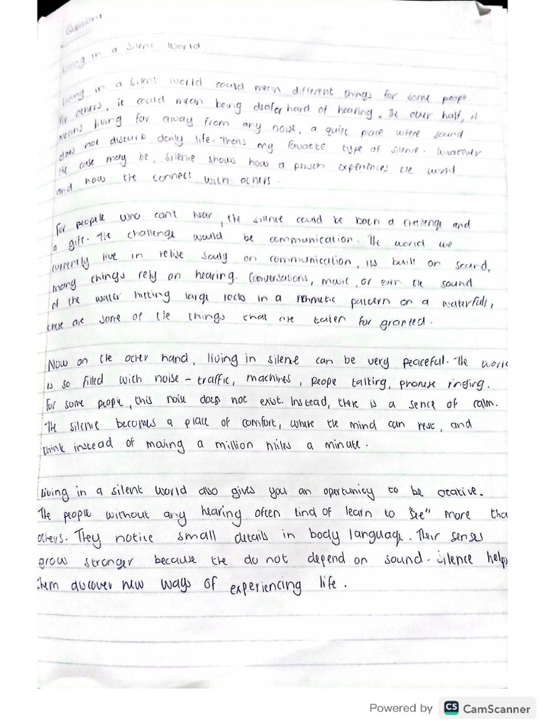 English Paper 3 Homework Jessica Ramano Lit | PDF