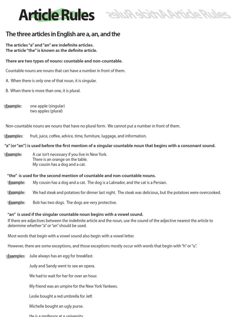Article Rules | Download Free PDF | Noun | Grammatical Number