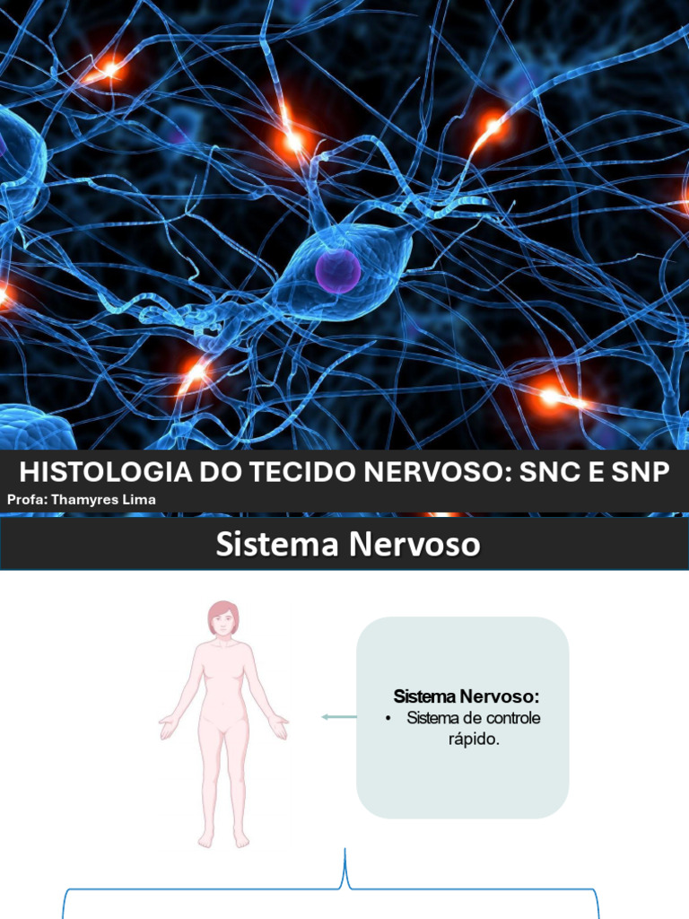 Histologia Do Tecido Nervoso - Snc e Snp | PDF | Sistema nervoso central | Sistema nervoso