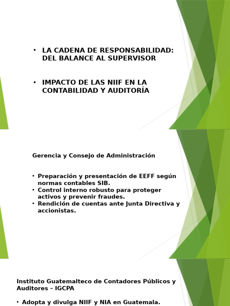 Impacto de las NIIF en Contabilidad y Auditoría | PDF