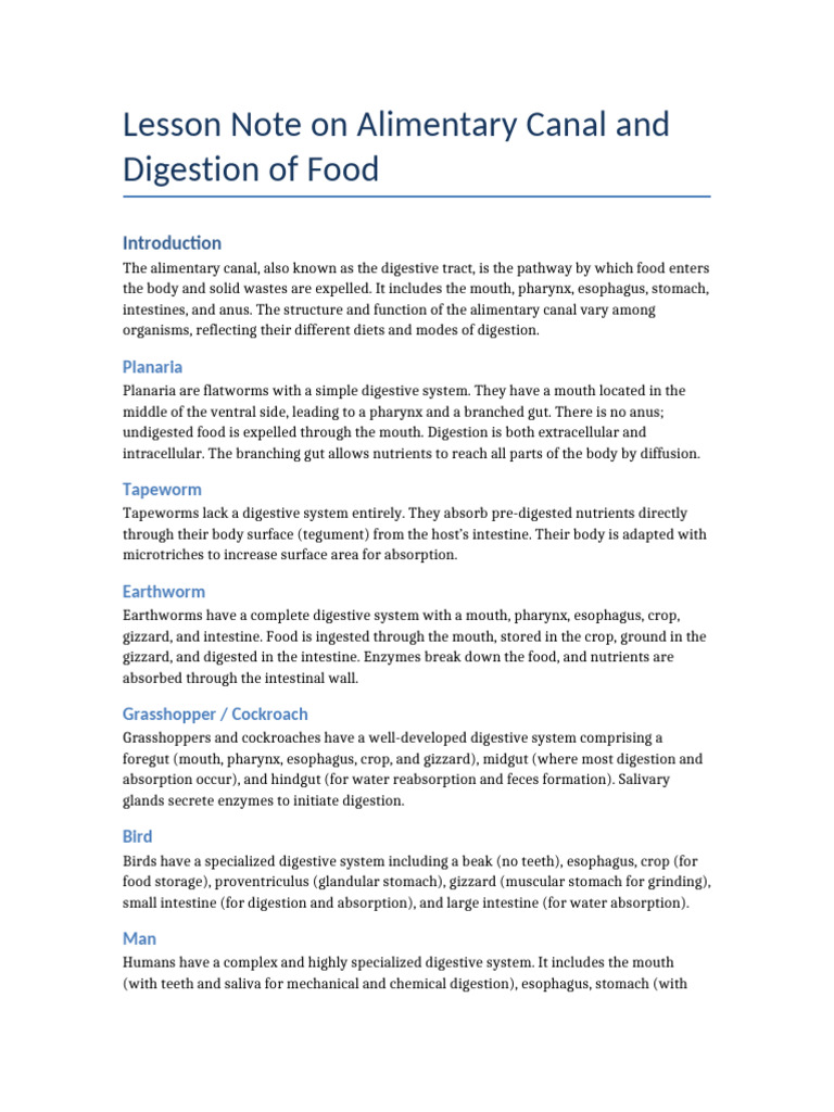 Alimentary Canal and Digestion SSS2 | PDF