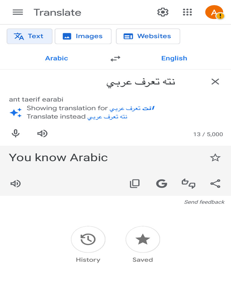 Google Translate | PDF