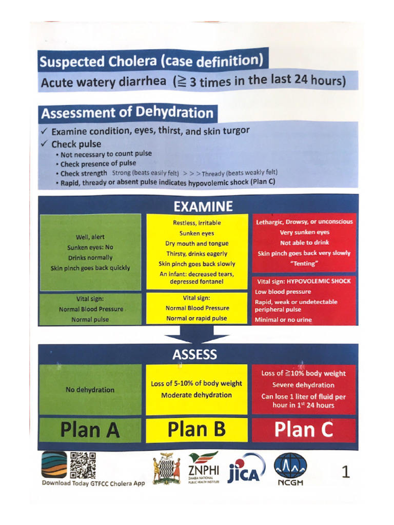 Cholera Case Management | PDF