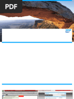 Check Client Size in SAP: Step-by-Step Guide | PDF