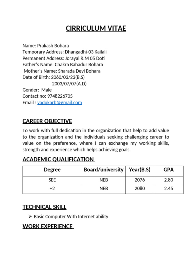 Cirriculum Vitae | PDF