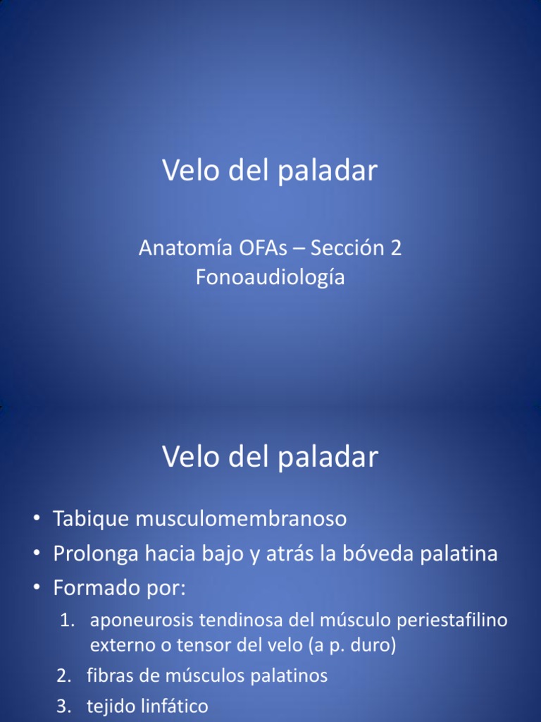Velo Del Paladar | PDF | Anatomía humana | Anatomia animal