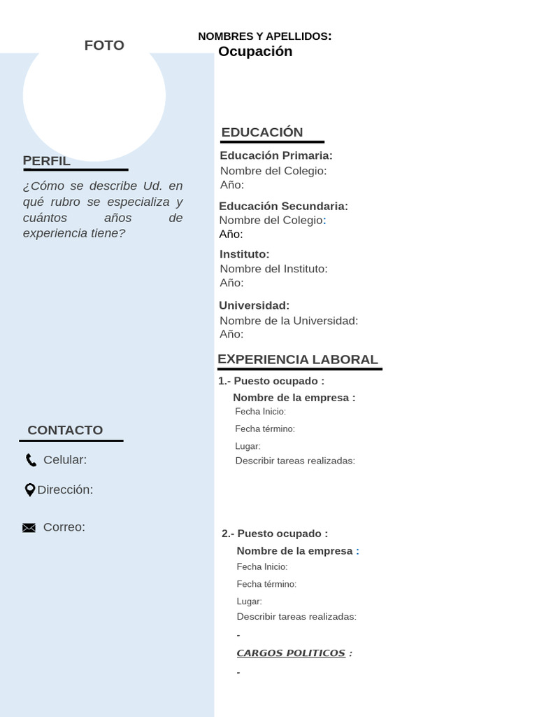 Modelo de Curriculum (12) | PDF