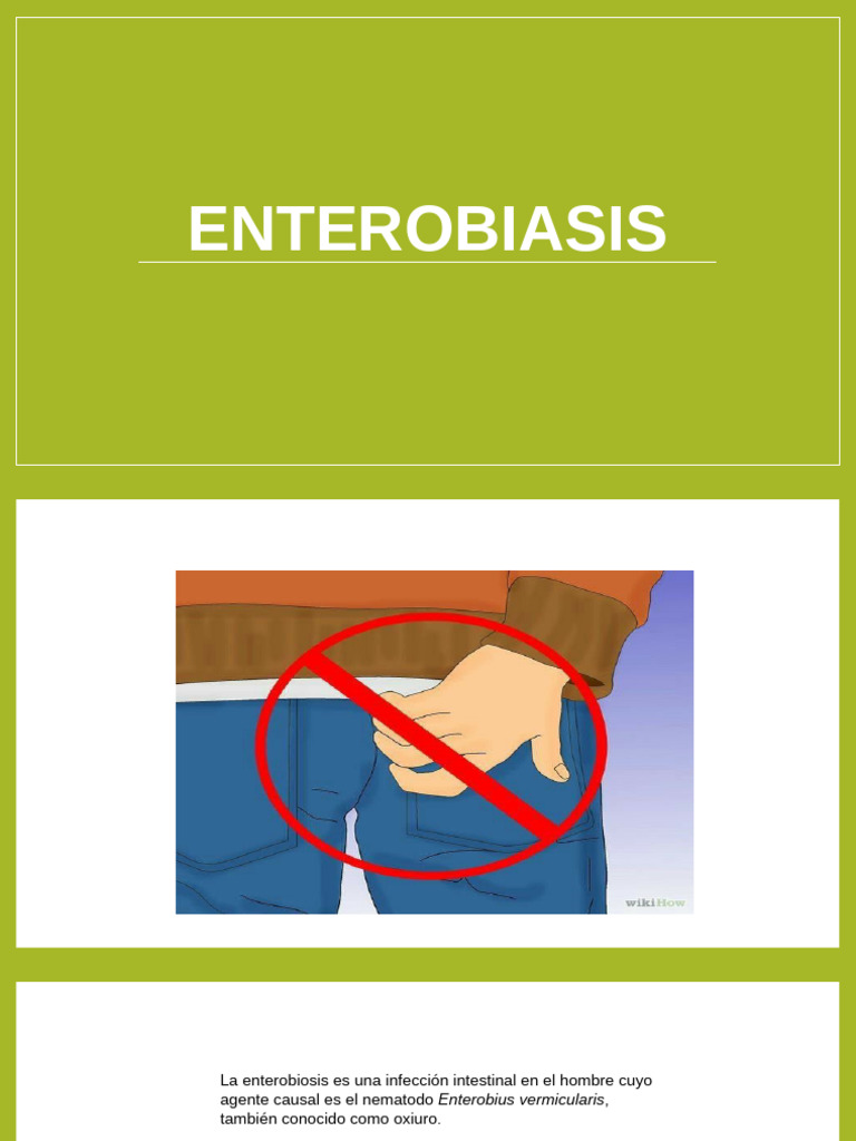 Enterobiasis | PDF | Medicina CLINICA | Enfermedades y trastornos