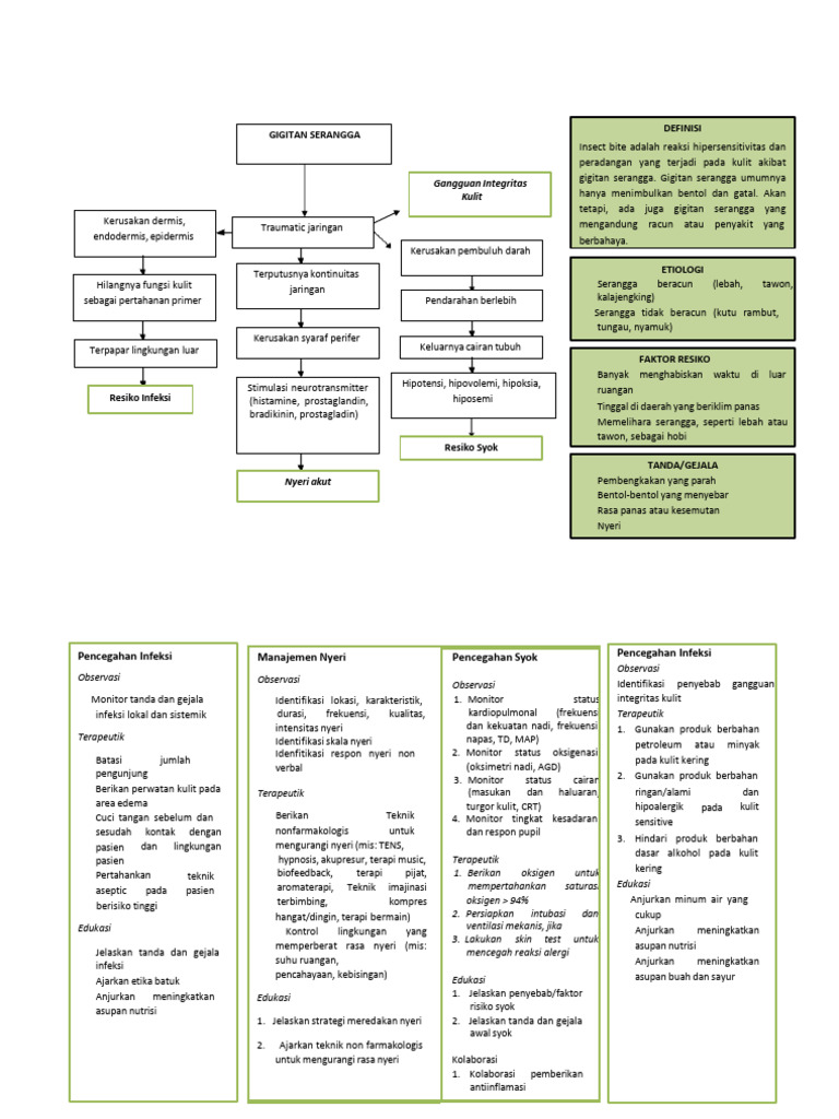 WOC Insect Bite | PDF