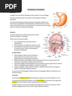 Técnicas Quirúrgicas: Hartmann y Miles | PDF | Cáncer colonrectal | Cirugía
