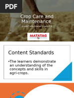 Lesson 4 - Crop Care and Maintenance | PDF | Agriculture | Weed