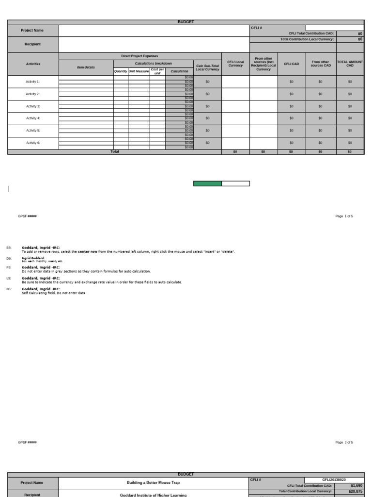 CFLI Project Budget Overview | PDF