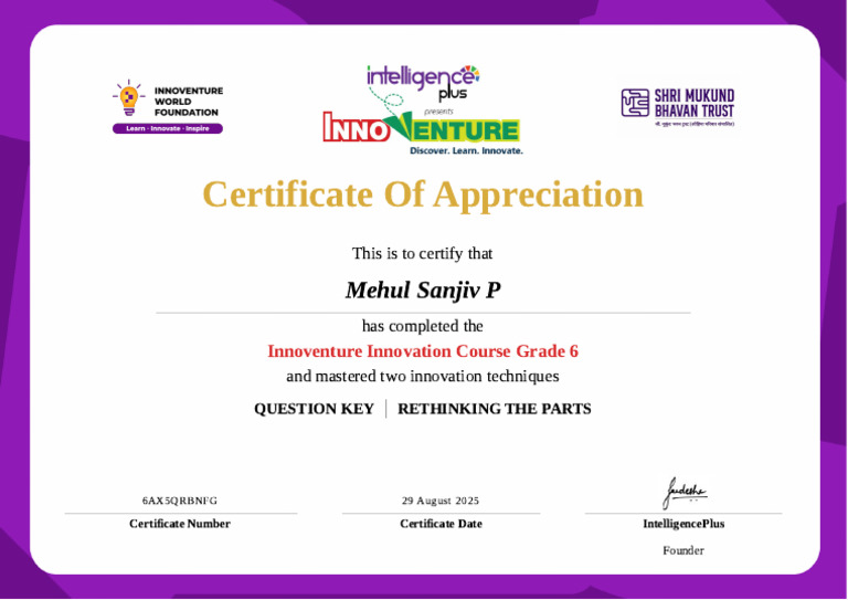 Certificate of Completion: Innoventure Course | PDF