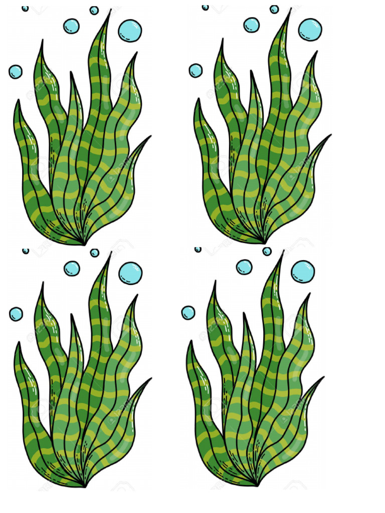 Contar Primer Grado | PDF