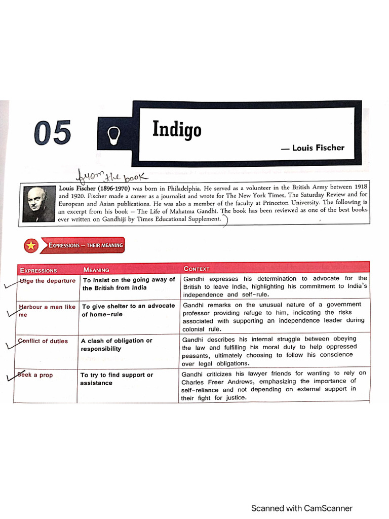 Indigo Notes | PDF