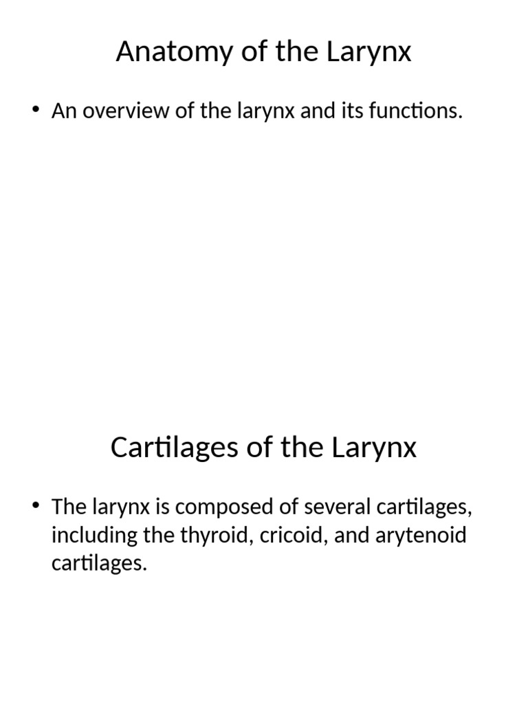 Larynx Anatomy and Functions Explained | PDF
