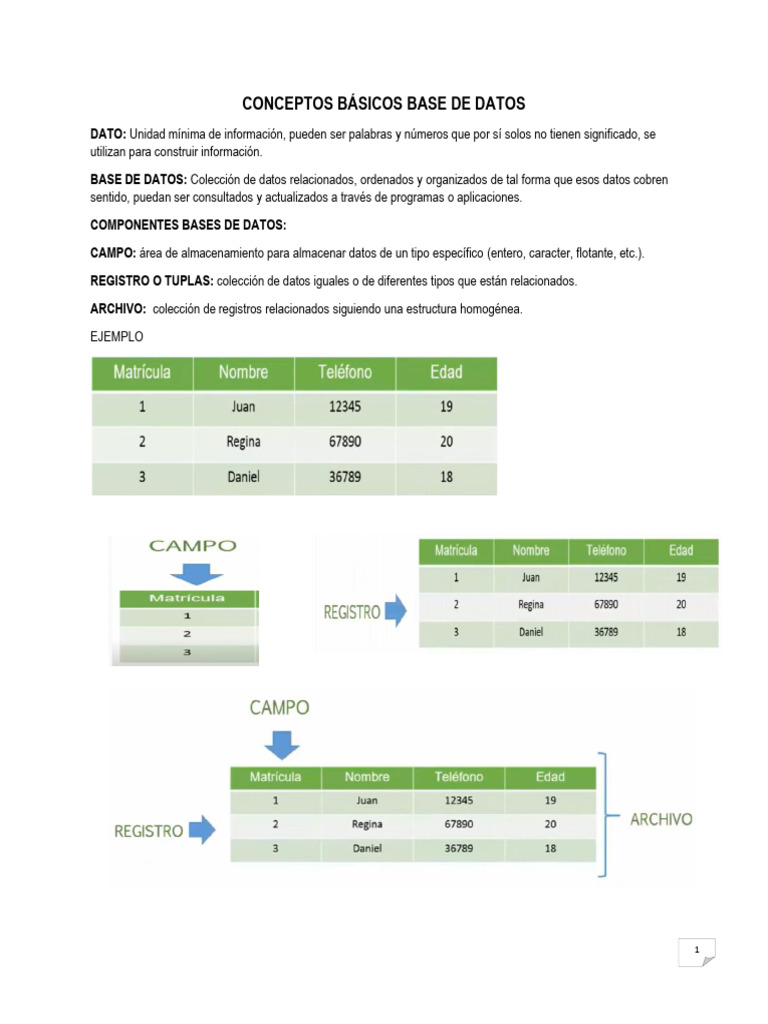 Elementos Basicos 1 | PDF | Bases de datos | Datos