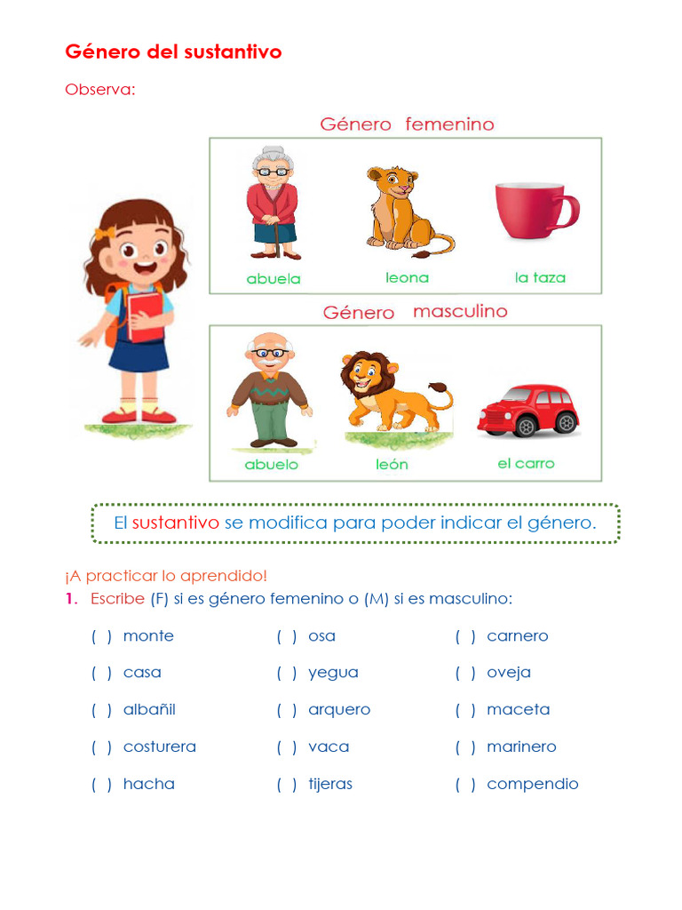 Género y Número Del Sustantivo | PDF