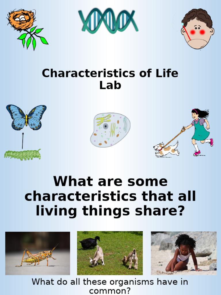 Copy of Characteristics of Life Lab | PDF