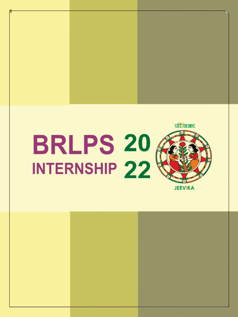 BRLPS Internship Program Overview 2022 | PDF | Internship | Job Hunting