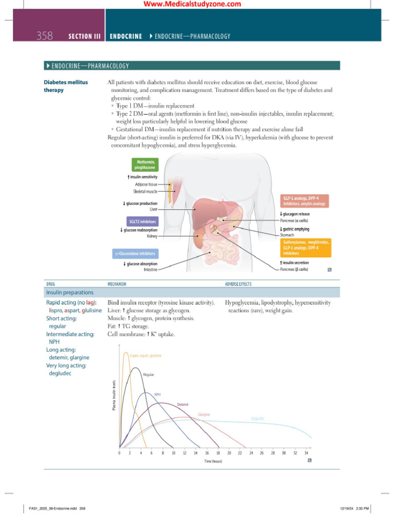 First Aid For The USMLE Step 1 2025 PDF (Medicalstudyzone - Com) | PDF