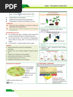 CH 11. Photosynthesis in Higher Plants - PPT | PDF | Photosynthesis ...