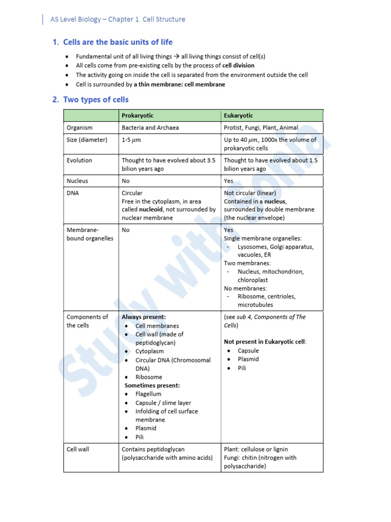 AS Level Biology: Cell Structure Overview | PDF | Cell (Biology ...