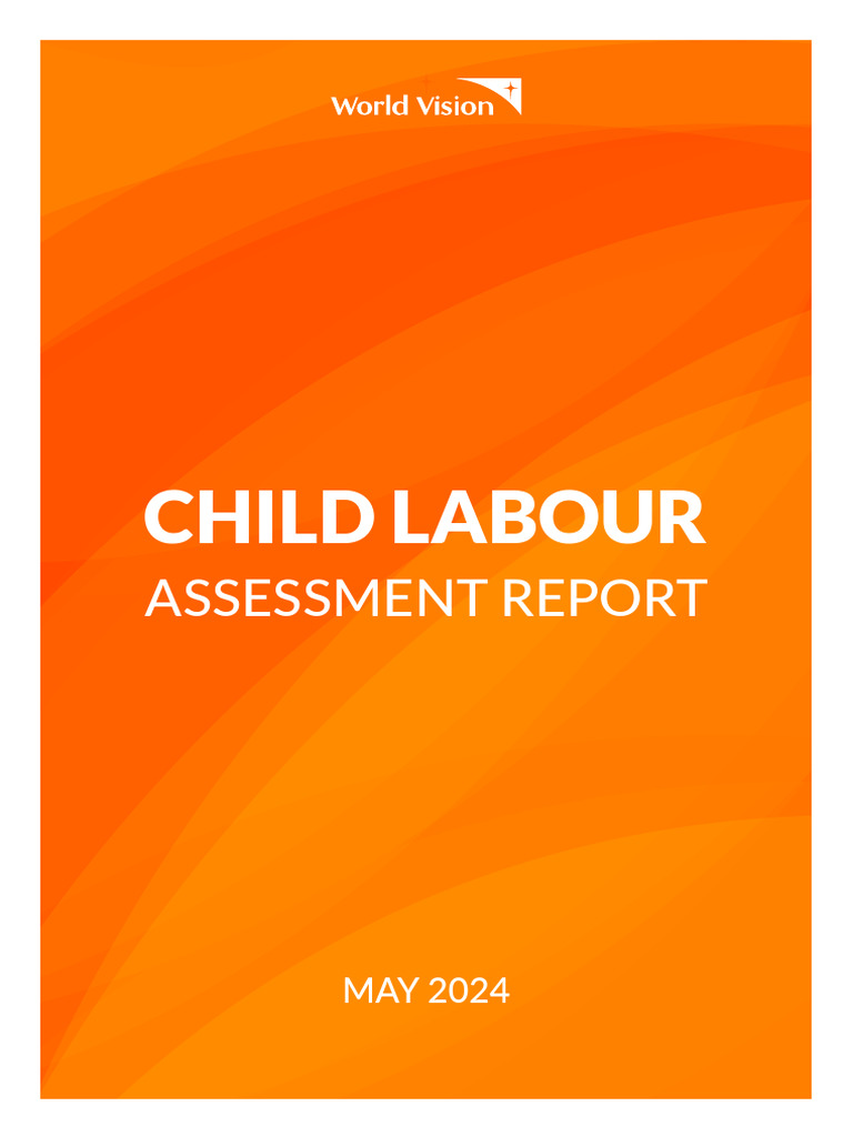 Child Labour Assessment Report | PDF | Labour Economics | Child Labour