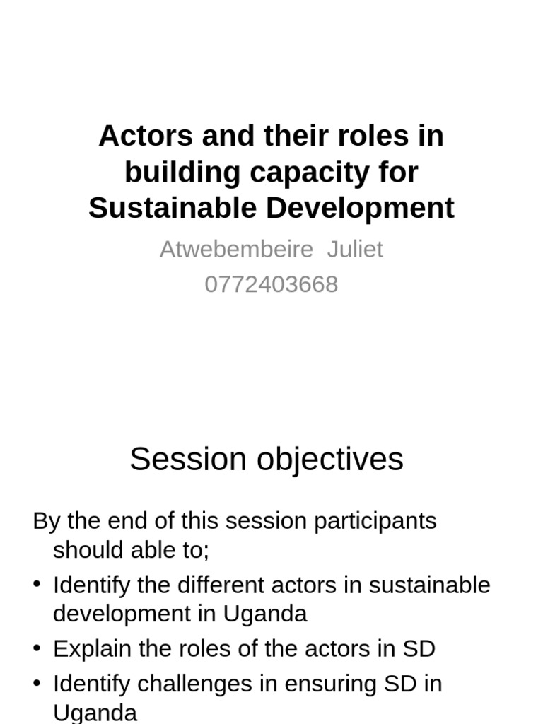 Actors and Their Roles in Building Capacity for Sd DME3 | PDF ...