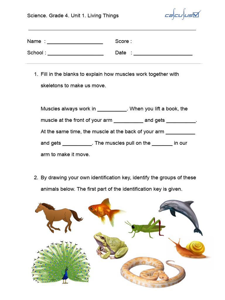 Science P4 - Unit 1 (Part 2) | PDF