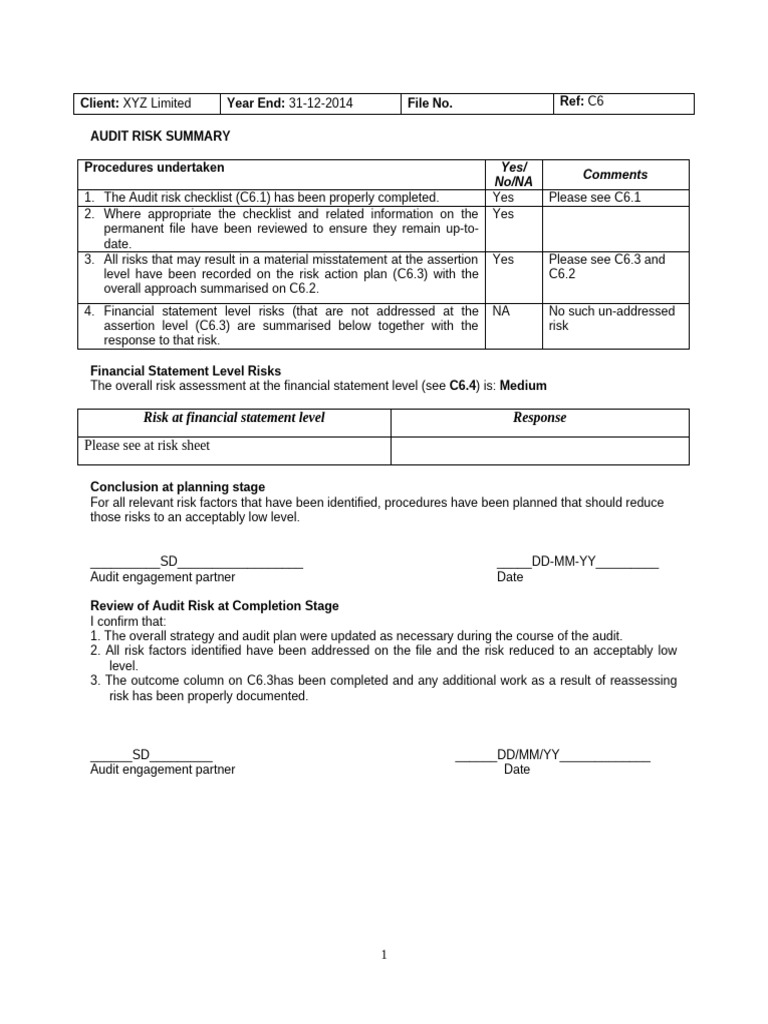 4351c 6 - Audit Risk Summary | PDF | Audit | Risk