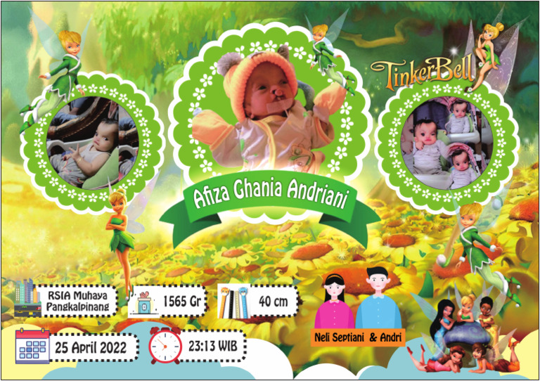 Afiza | PDF