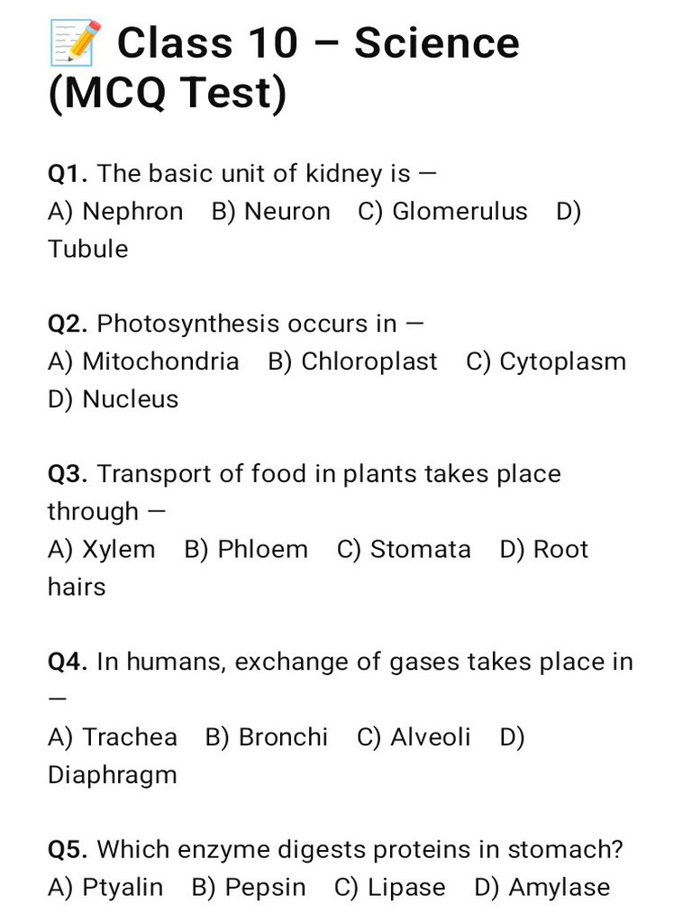 Practice For Exam | PDF